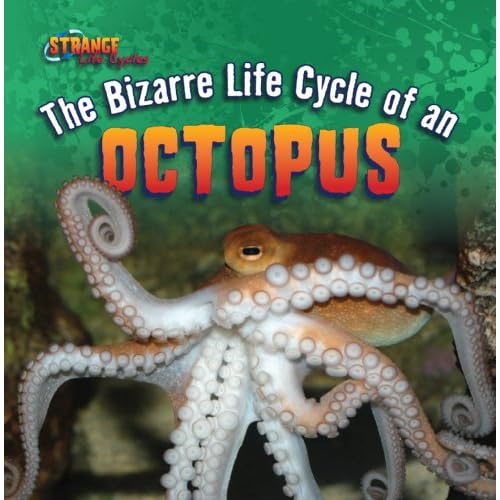 THE BIZARRE LIFE Cycle of an Octopus - Library Binding NEW Shea ...
